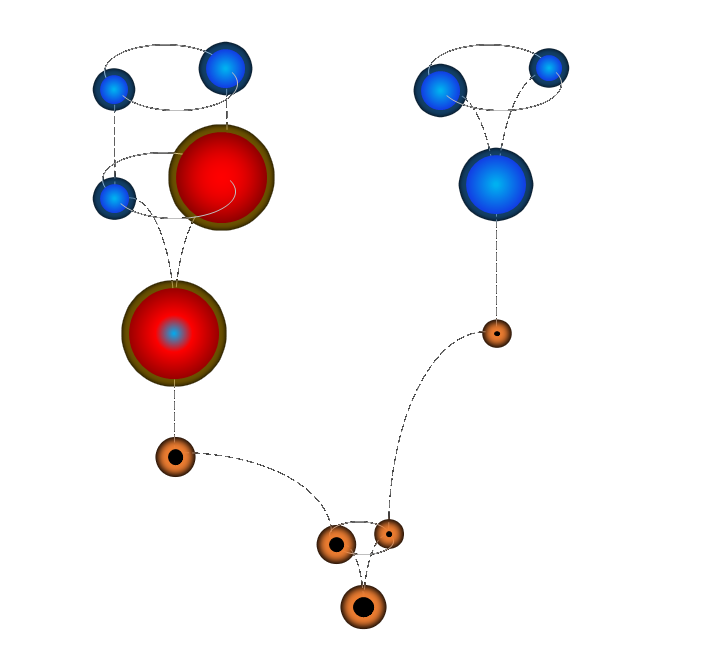 Stellar mergers and beyond | Marco Dall'Amico